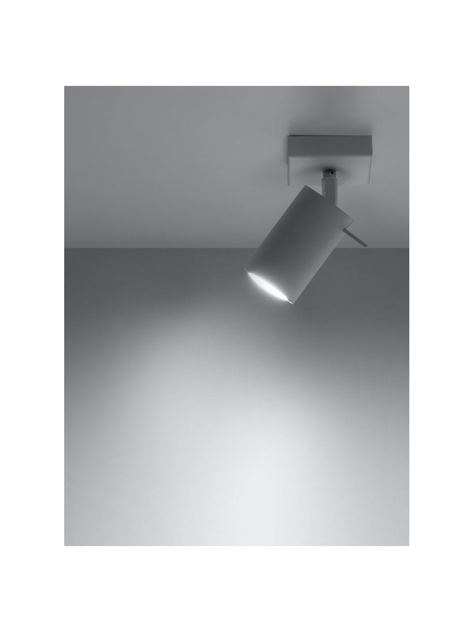 Spot orientable mur et plafond Etna | Westwing